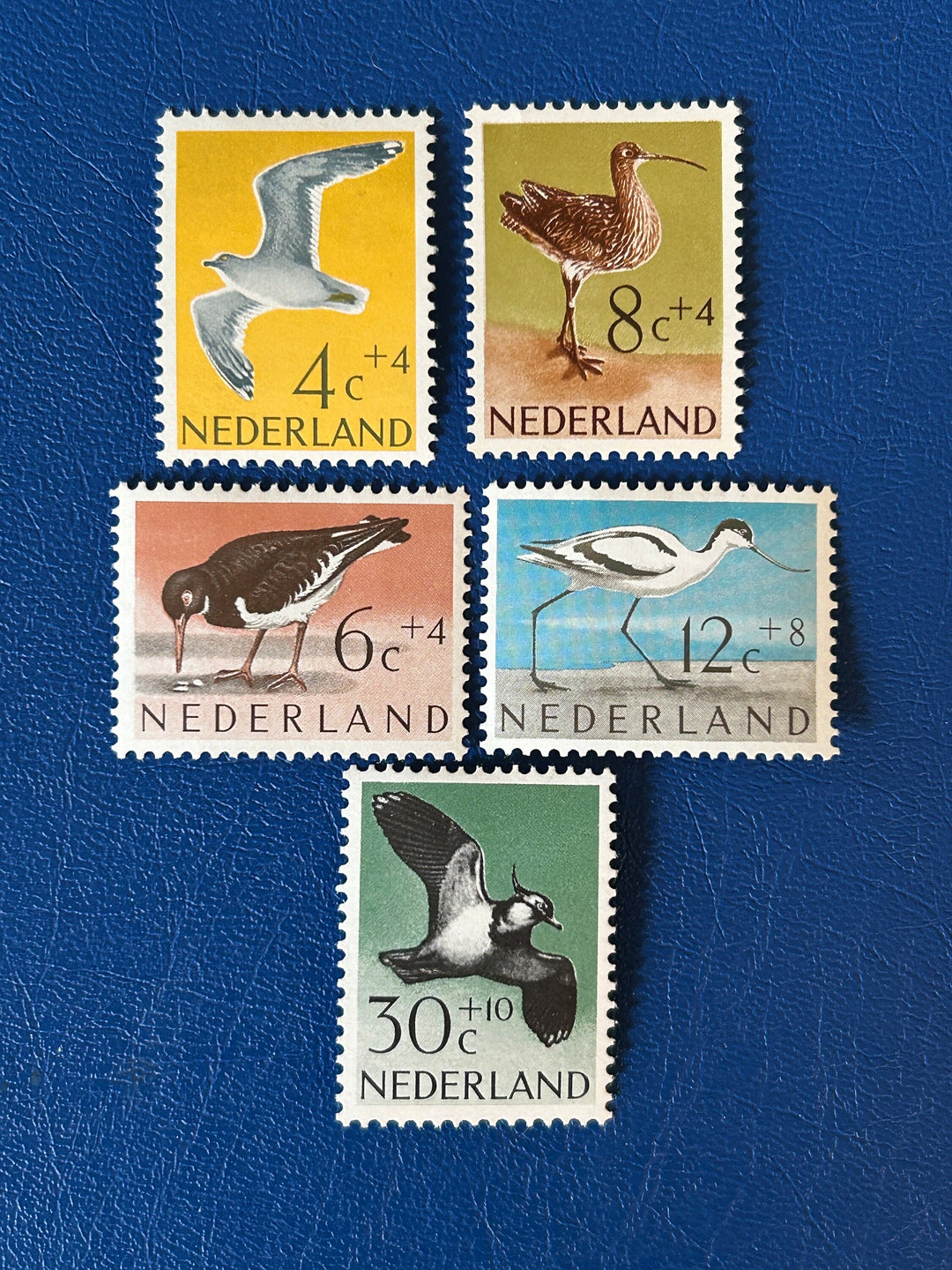Netherlands- Original Vintage Postage Stamps- 1961 - Shore Birds - On ...