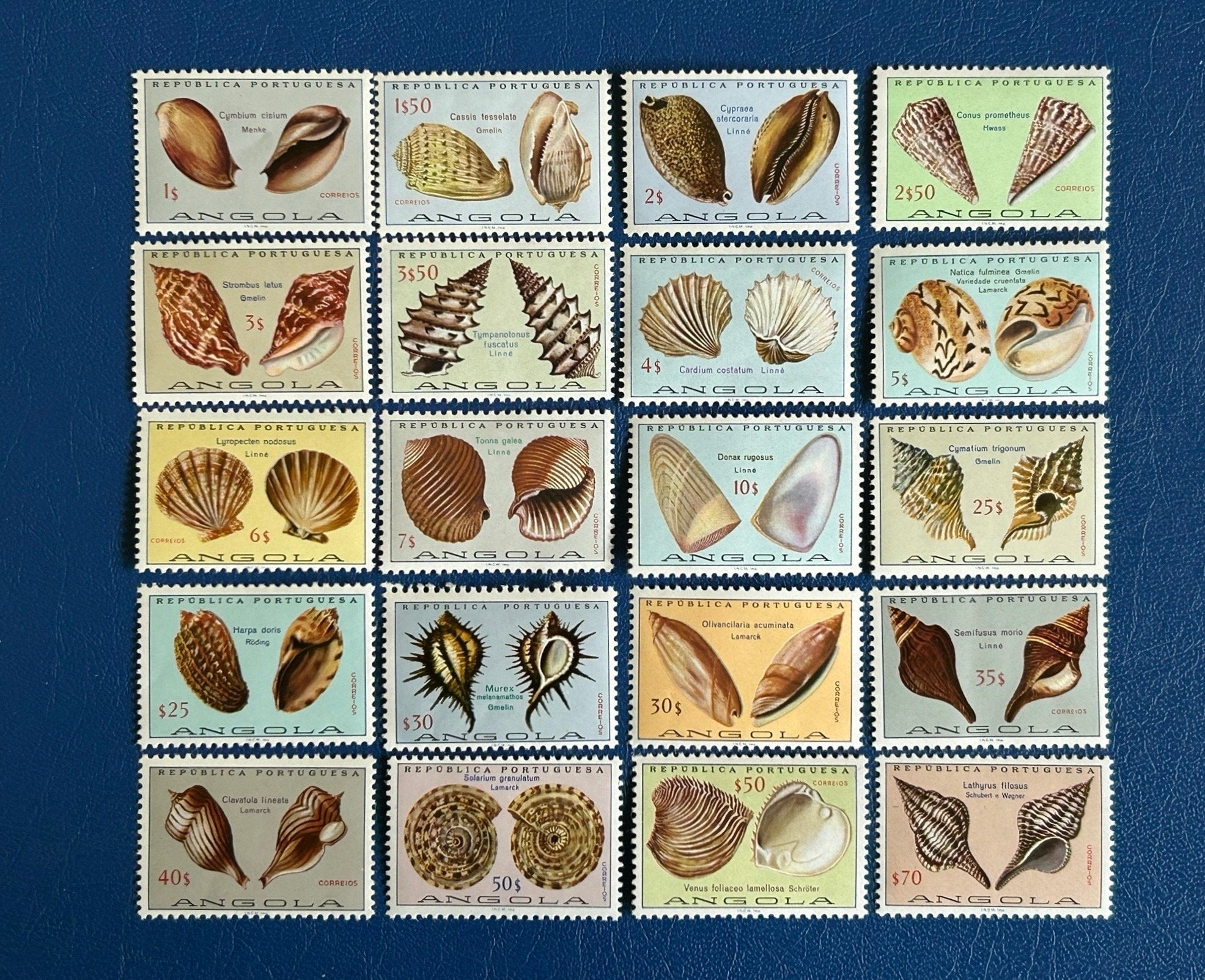 Angola - Original Vintage Postage Stamps- 1974 - Seashells – On the ...
